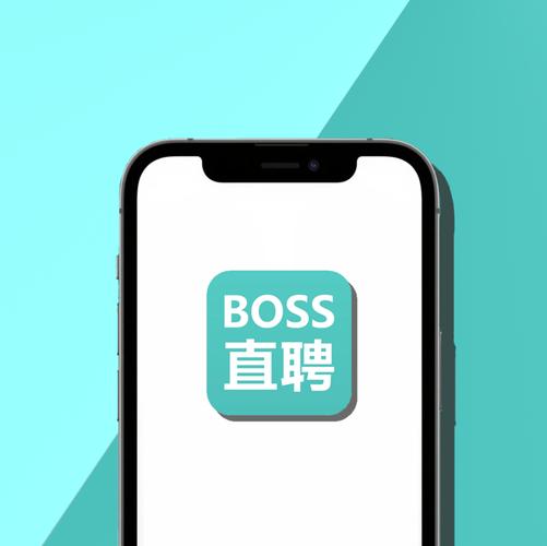 boss直聘历史版本截图