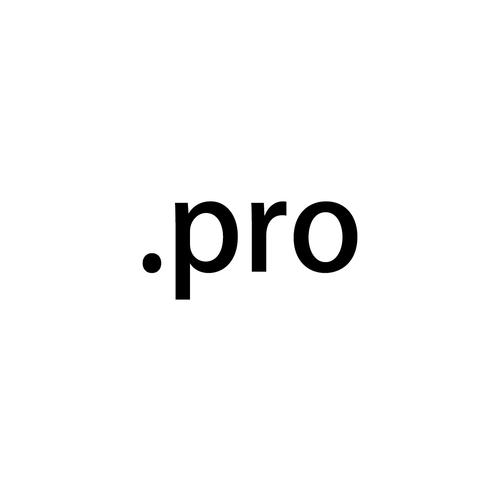 Pro中文叫什么截图