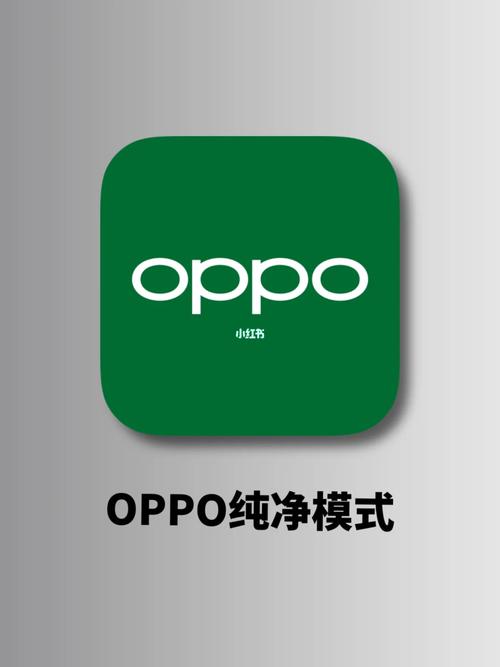 OPPO手机纯净模式在哪里找