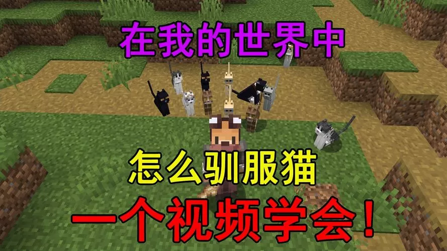 我的世界里的猫怎么驯服图标