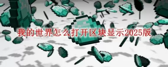 我的世界如何看区块