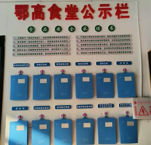 莘安校园我怎么登不上去
