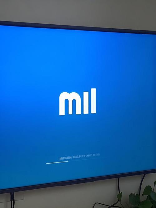 小米电视投屏被禁用了截图