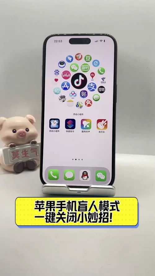 苹果一键退出盲人模式