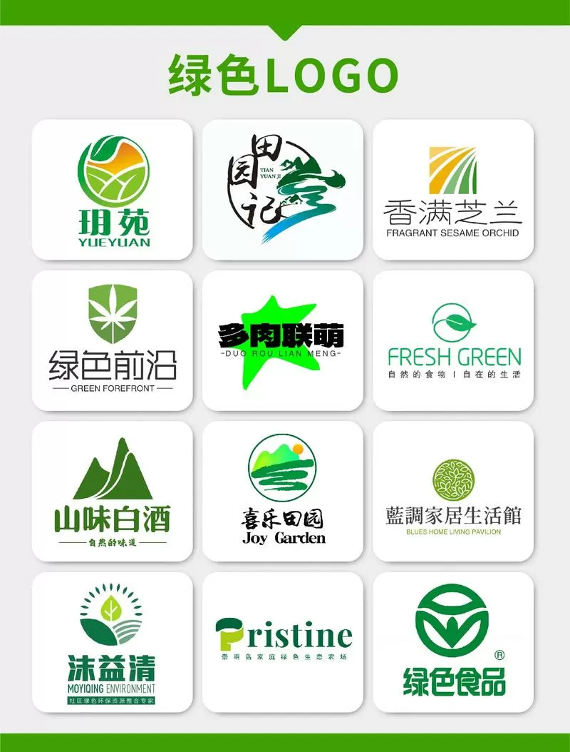 叶绿快速升级代码图标