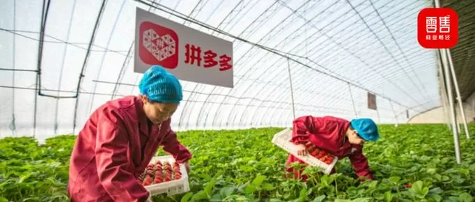拼多多农场vip怎么升级图标