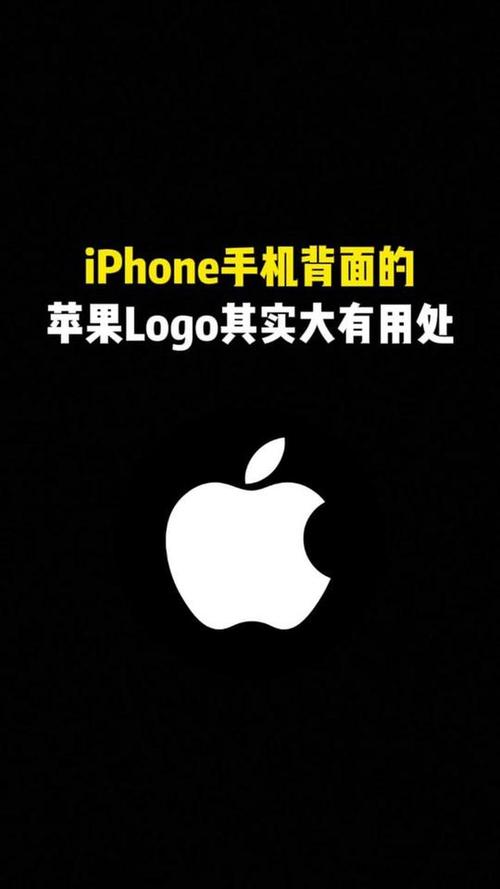 iphone背部敲击位置在哪