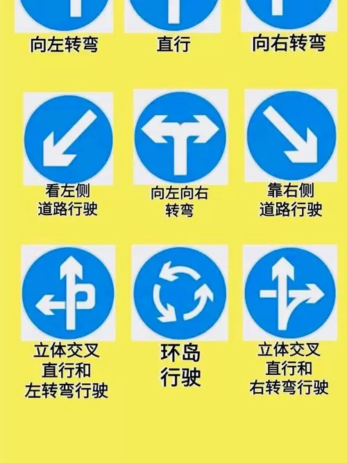 驾考宝典解锁全部路线