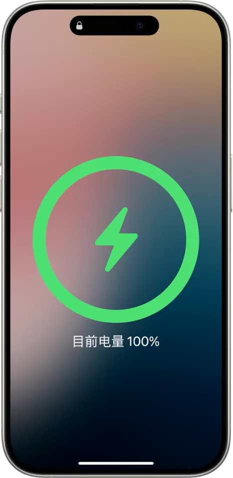苹果电池电量有个闪电标志截图