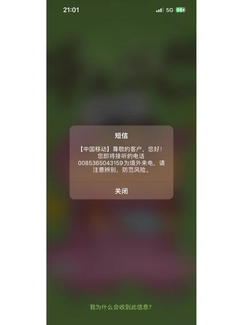 苹果手机怎么关闭境外来电截图