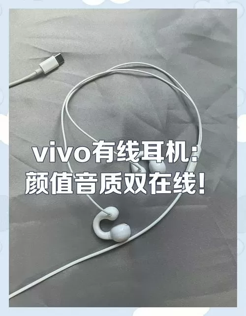 vivo有线耳机使用方法图标