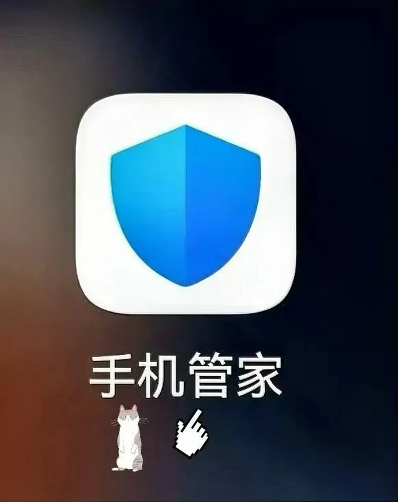 手机管家有用吗,可以卸载吗图标