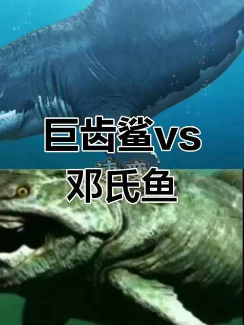 邓氏鱼vs巨齿鲨