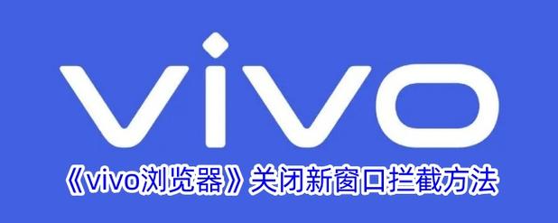 vivo浏览器浏览网页被拦截?图标