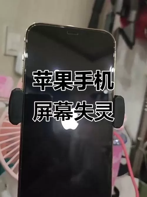 苹果x死机屏幕动不了也没法关机