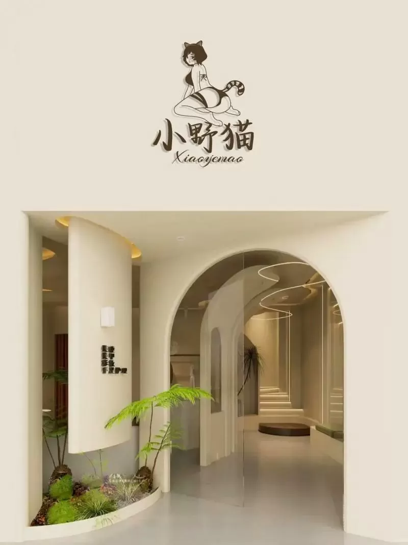 蕾丝猫会员能看到什么截图