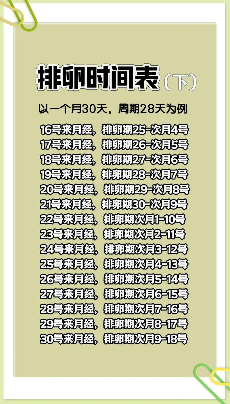 女人排卵时间表格图光环加速版截图