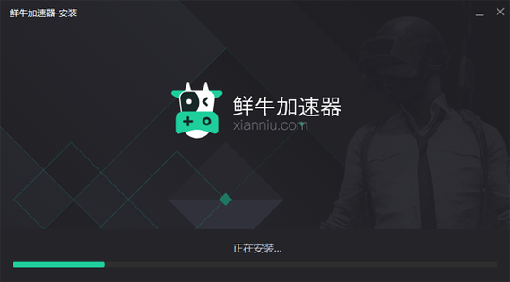 鲜牛加速器23