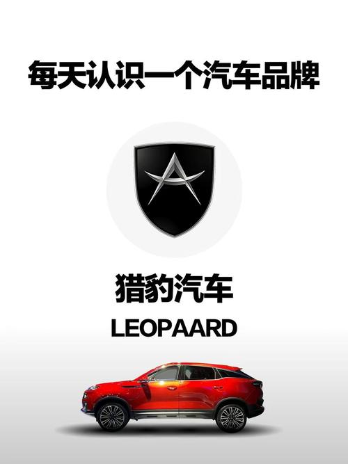 猎豹加速到100公里需要几秒黄化版截图