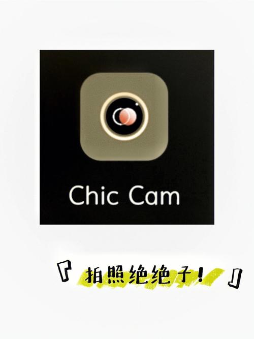 chiccam相机官方截图