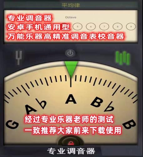 琵琶在线调音器经典版截图