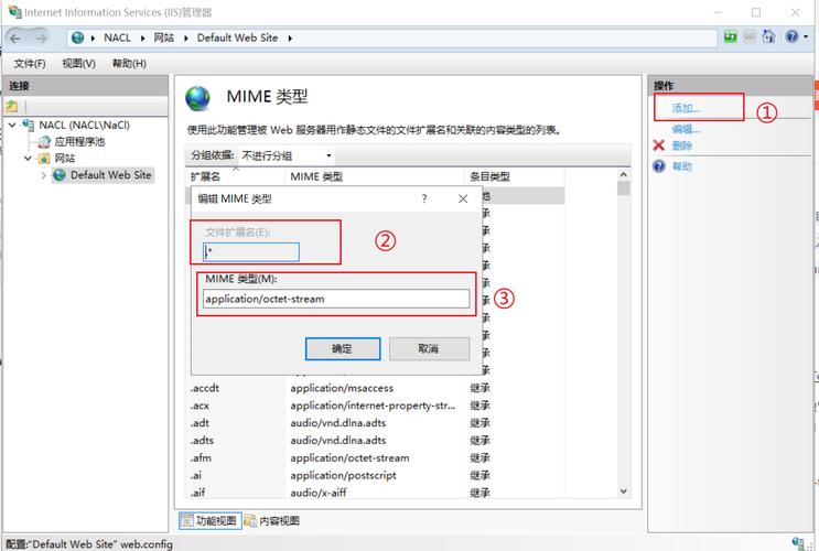 iis配置后localhost无法访问永久vip版截图