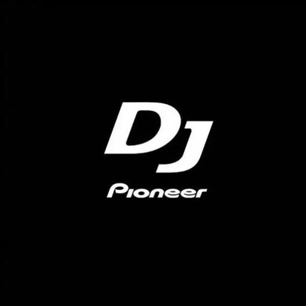 pioneer加速器截图
