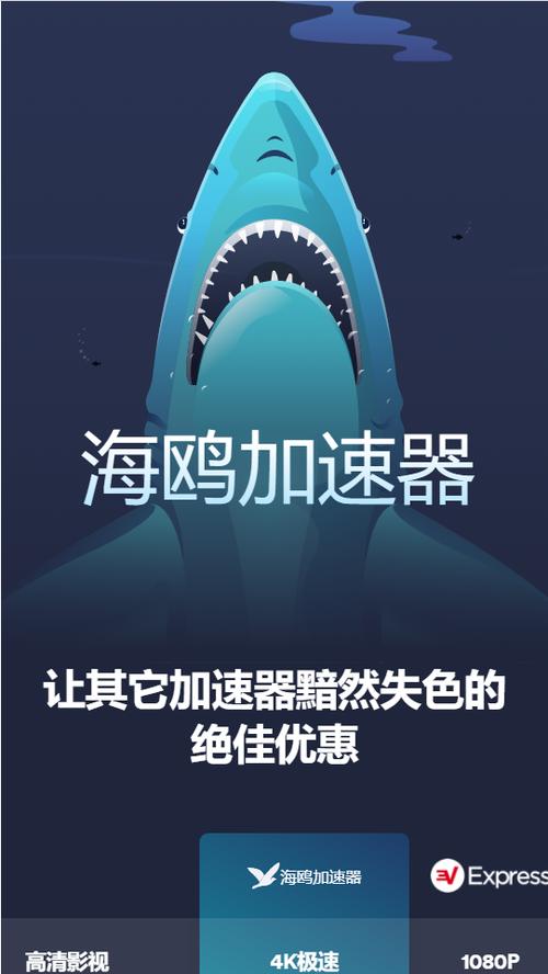 SEAGULL海鸥加速器海鸥加速器破解版永久免费图标