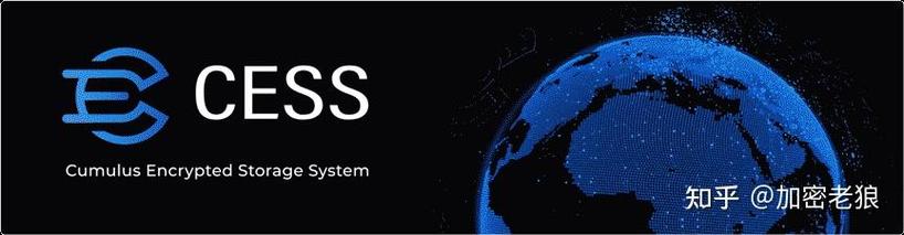 alphanetwork最新消息加速永久永久免更新图标