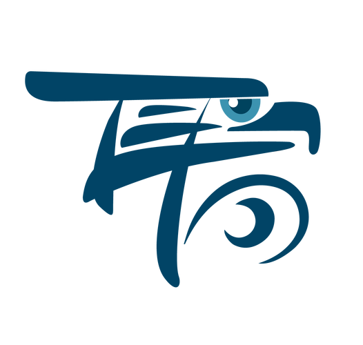 鹰眼软件图标