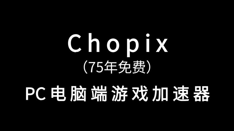 pc端什么加速器是永久免费的轻量版截图