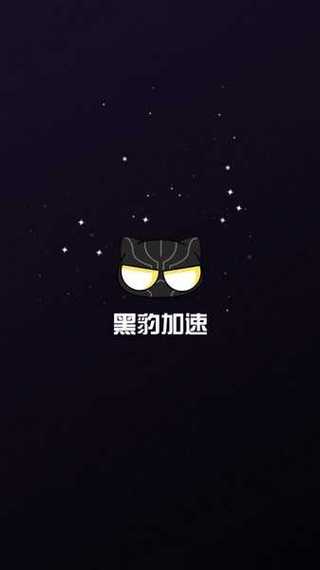 黑豹加速器官网版截图