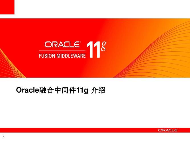 oracle11g免费吗橙色版截图