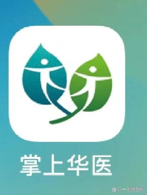 掌上华医老旧版截图