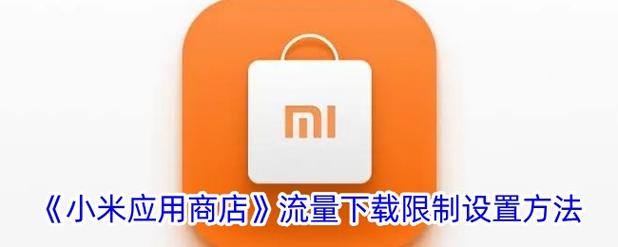 如何限制某个软件的流量使用