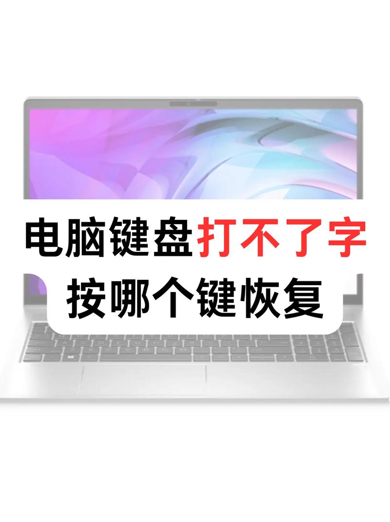 电脑键盘打不出字了按哪个键恢复加速永久截图