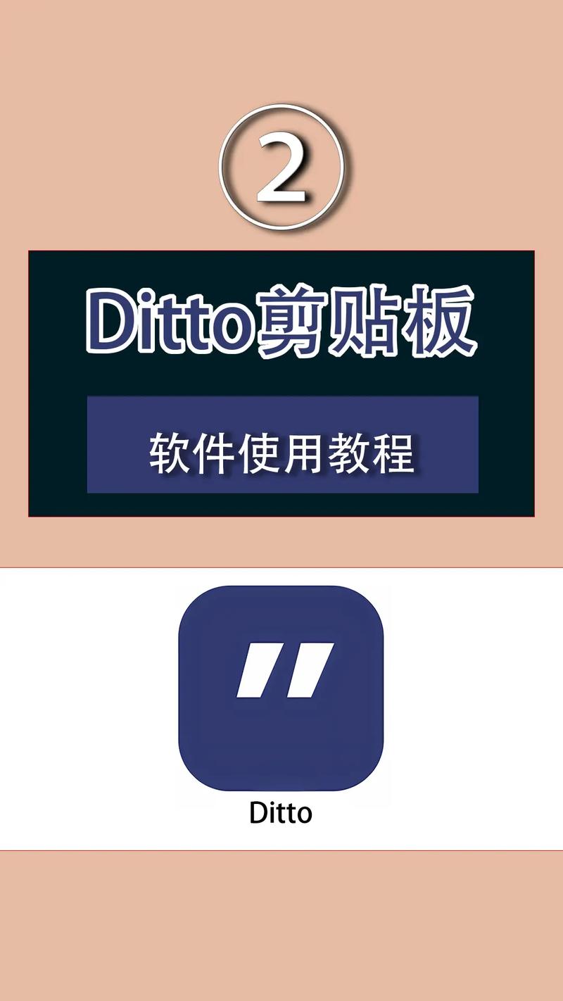 ditto怎么用加速永久图标