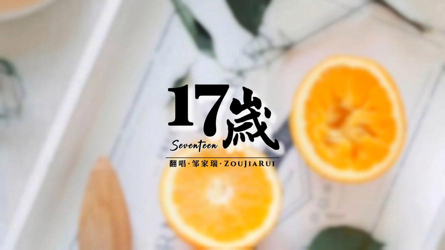 十七岁在线试听截图