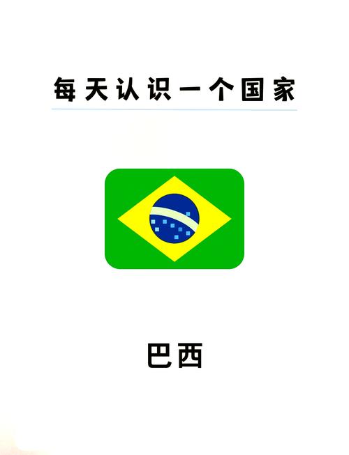 巴西哪个国家提速版截图