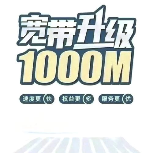 宽带提速包游戏截图