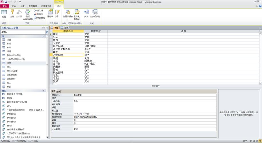 access2010中文版