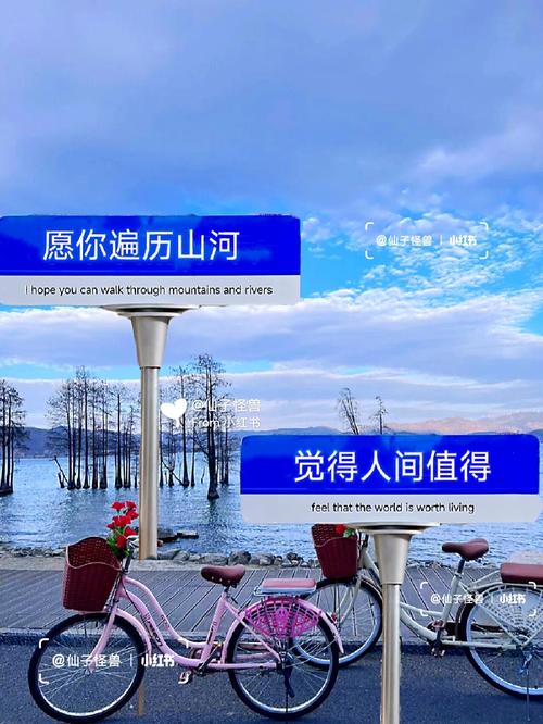 愿你历遍山河仍觉得人间值得加速永久截图
