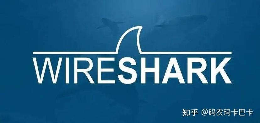wireshark手机版中文版截图