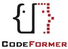 CodeFormer下载光环加速版图标