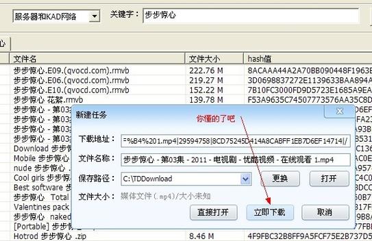 p2psearcher电脑端最新版本更新内容与特点提现版截图