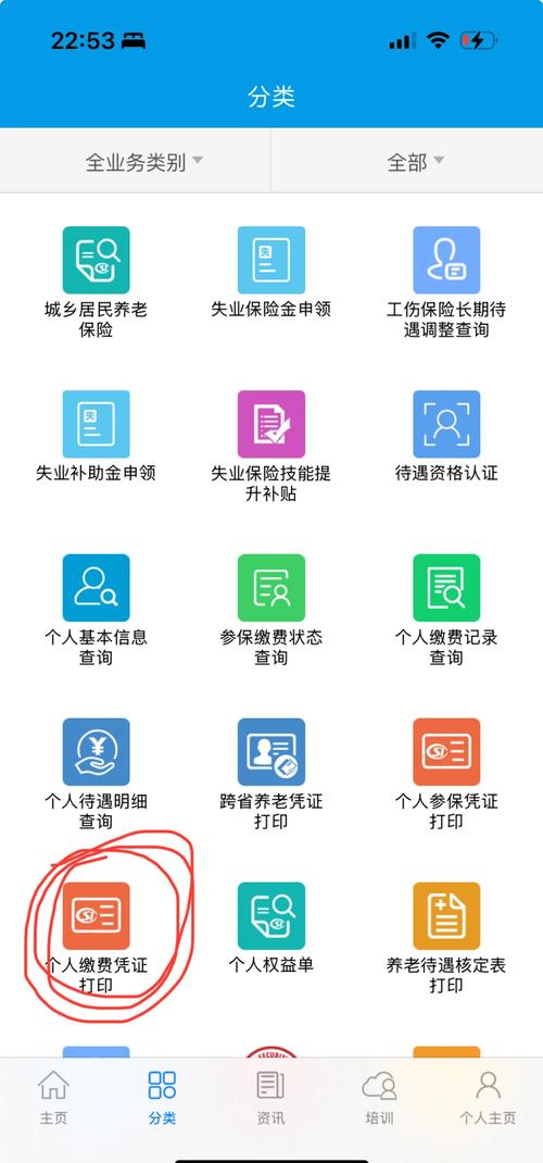我的社保缴费明细提现版