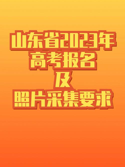 山东高考报名官网经典版截图