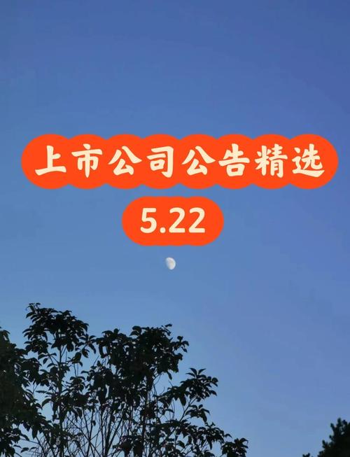 查上市公司公告去哪个网约会版图标
