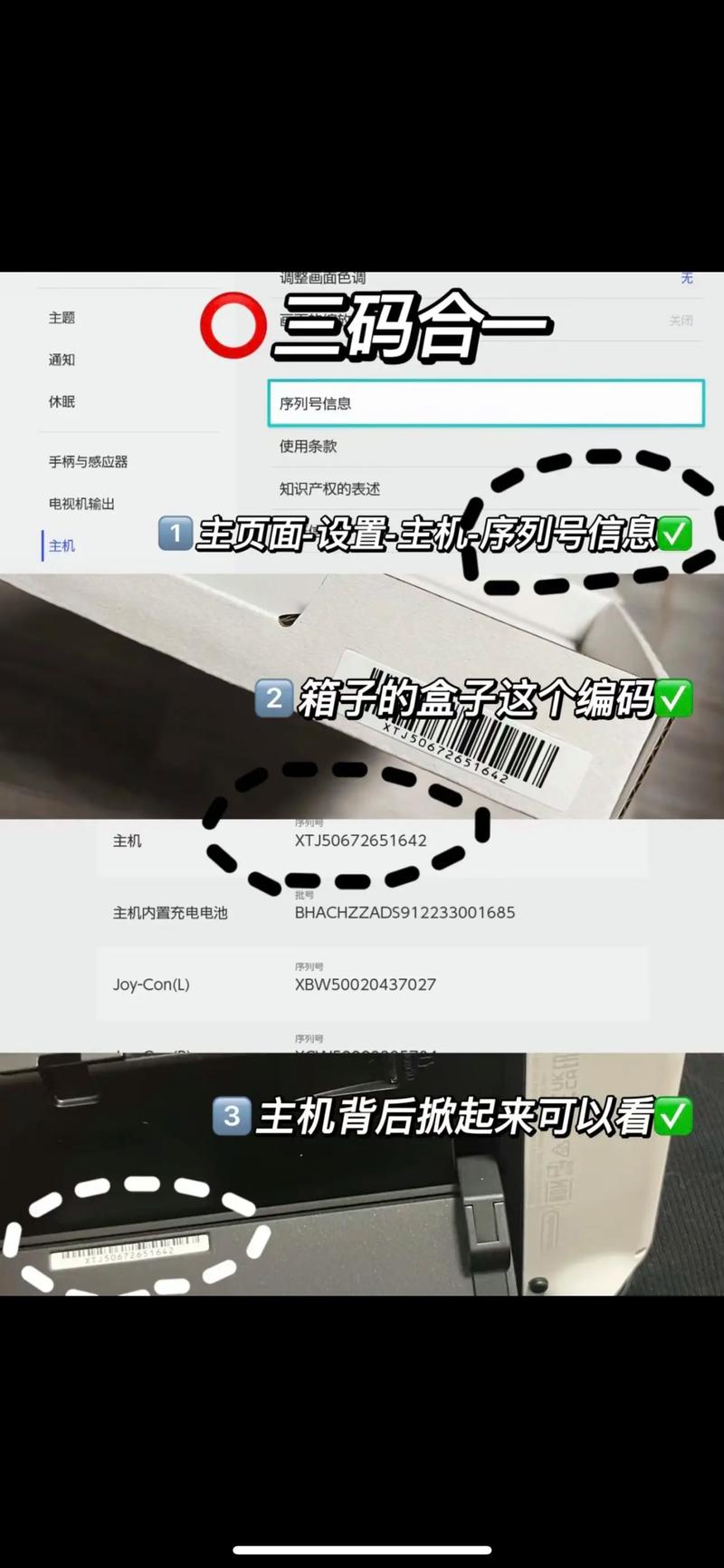 switch开箱验机流程截图