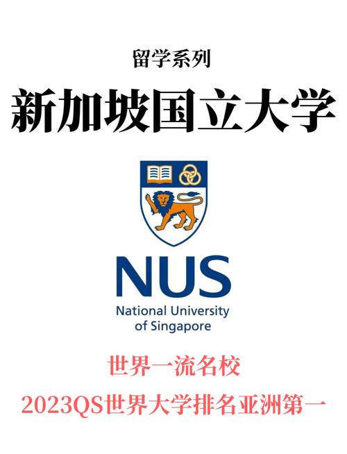 新加坡国立大学入学条件加速永久图标